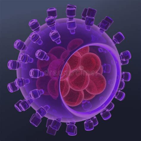 Hepatitis Virus Structure 3d Rendered Illustration Stock Illustration Illustration Of