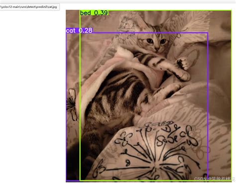 目标检测：yolov12环境配置，超详细，适合0基础纯小白 Csdn博客