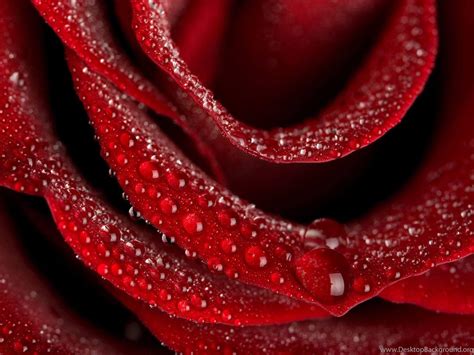 Pretty Red Wallpapers Top Free Pretty Red Backgrounds Wallpaperaccess