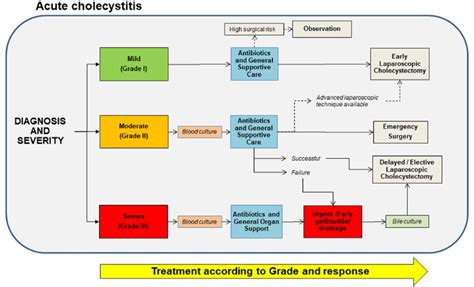 Management Of Acute Calculous Cholecystitis According To Tokyo Download Scientific Diagram