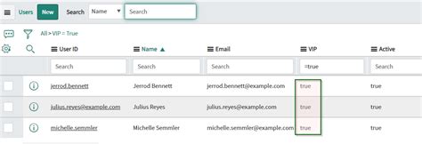 Solved Re Who Is Vip User In Servicenow Servicenow Community