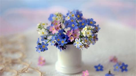 Незабудки в вазе
