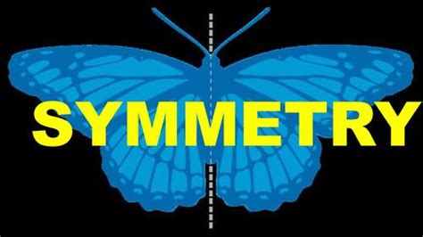 Symmetry Powerpoint Lesson By Cutemathematician TPT