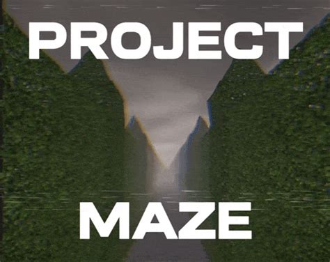 Project Maze By Vuk Dobric
