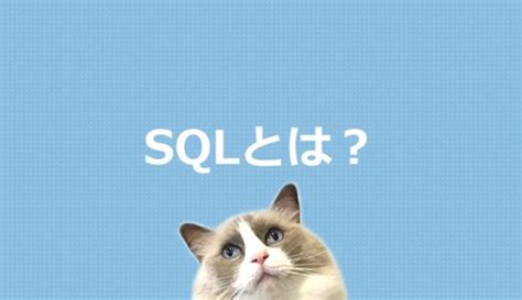 Phpとは？プログラミング言語を初心者にもわかりやすく解説 プログラミング入門
