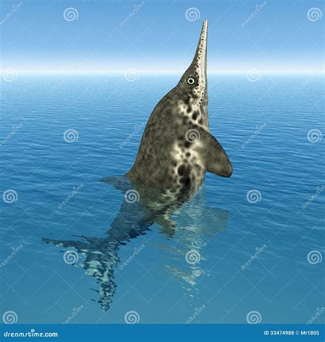 Ichthyosaur Stenopterygius Quadriscissus Swimming In The Ocean