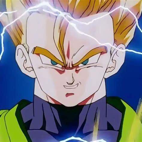 Pin De Duane Golding En Ssj Gohan Grown Majin Boo