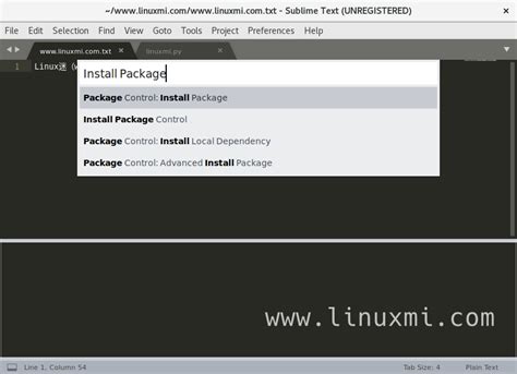 centos 8 1下sublime text 3设置中文与python环境 linux迷