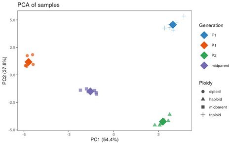 Perform A Principal Component Analysis Pca And Plot Pcs — Pcaplot