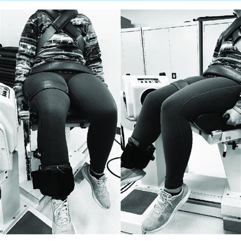 Positioning Of The Participant For Isokinetic Testing On The Biodex Download Scientific Diagram