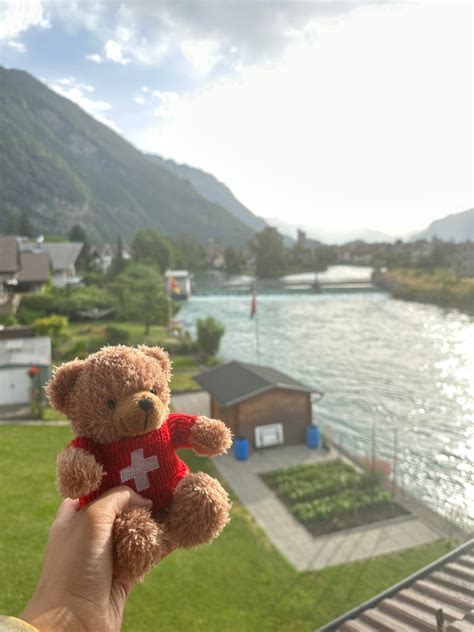 스위스샤모니 여행 준비 1탄비행기 숙소 스위스패스 예약하기 네이버 블로그