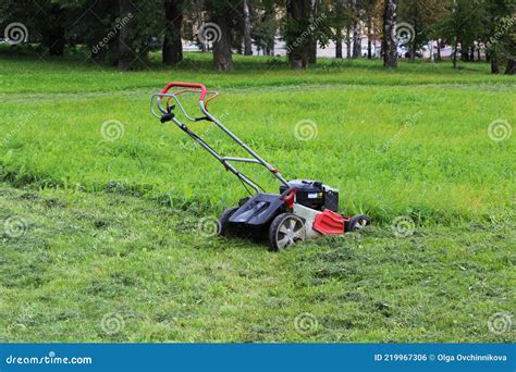 Process Of Lawn Mowing Concept Of Mowing The Lawn Lawnmower Cutting