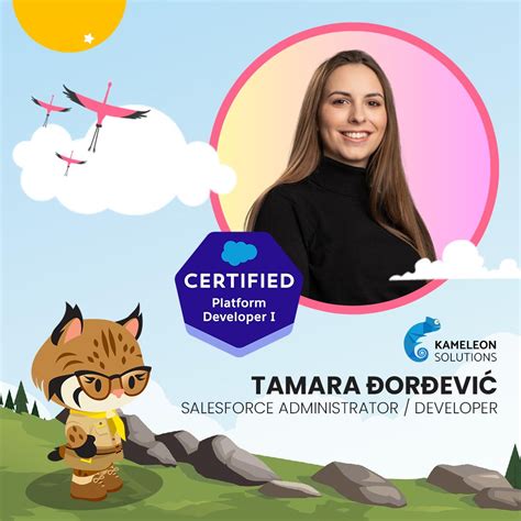 Congrats Salesforce Platformdeveloper1 Salesforcepartner Salesforcecertification