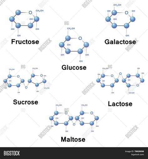 Sugar Molecules Vector And Photo Free Trial Bigstock