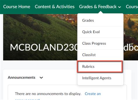 Brightspace Rubrics Uvm Knowledge Base Brightspace Rubrics Uvm Knowledge Base