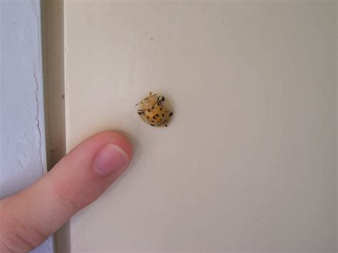 82 Best U Clumpy Images On Pholder Pics Exmormon And Funny