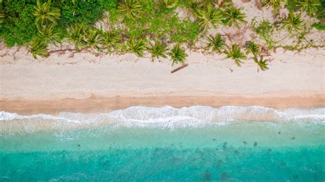Завантажити шпалери на робочий стіл ПК Пейзаж Пляж Пальми