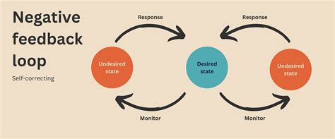 Positive Feedback Loop Diagram