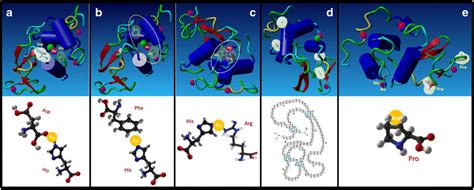 Row 1 Interactions Of The Amino Acid Residues With The Au Substrate Download Scientific