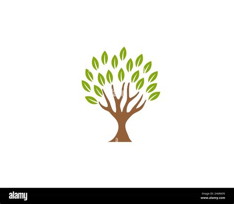 Creative Abstract Green Tree Leaves Logo Design Vector Symbol