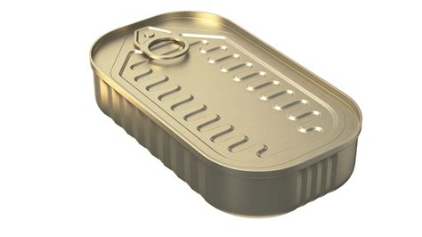 Rectangular Tin Can Model Turbosquid 2025455