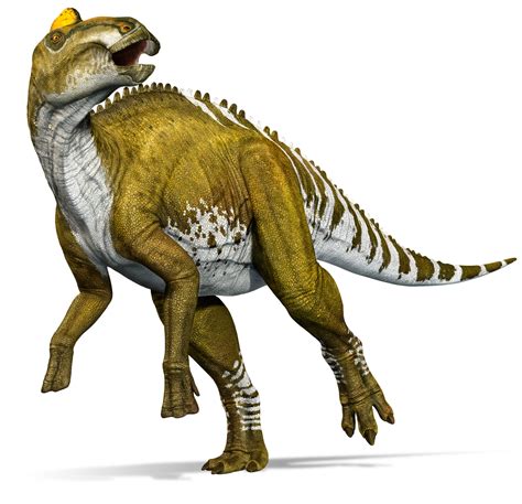 Edmontosaurus Dinopedia Fandom