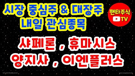 주식 대장주and 내일 관심종목양지사휴마시스샤페론지투파워이엔플러스국전약품한미글로벌공구우먼넥스턴바이오베트남개발1 Youtube
