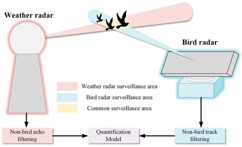 The Diagram Of Density Calculation For The Scanning Bird Radar Showing