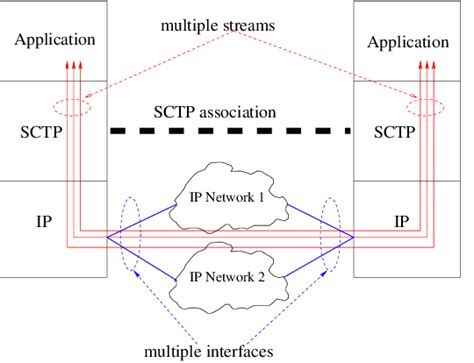 Schematic View Of An Sctp Association Download Scientific Diagram Schematic View Of An Sctp Association Download Scientific Diagram