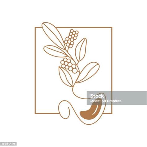 커피 로고 커피 트리 디자인 카페 음료 벡터 아이콘 브랜드 일러스트 레이 션 기호 0명에 대한 스톡 벡터 아트 및 기타 이미지