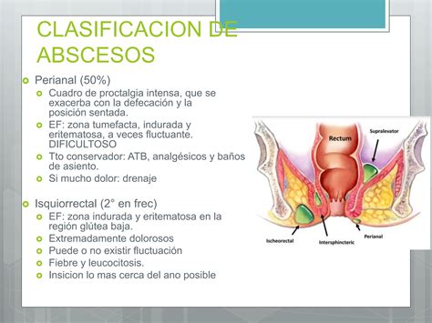 Anatomia Abscesos Y Fistulas Perianales Pptx