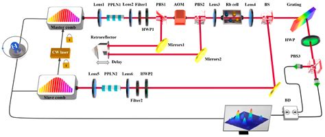 Fully Phase Locked Fiber Dual Comb Enables Accurate Frequency And Phase