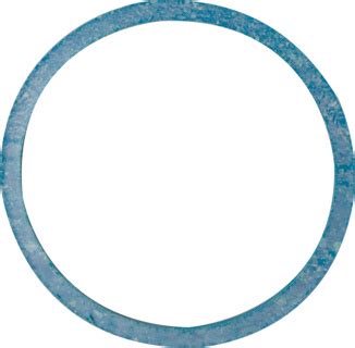 Symmons Casing Gasket VMS