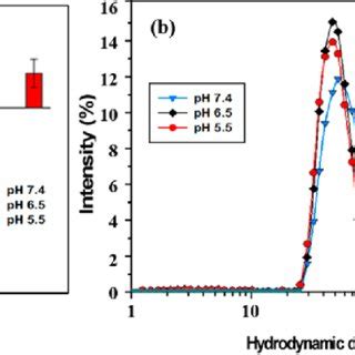 a ζ potential and b DLS particle size distribution profiles of Download Scientific Diagram