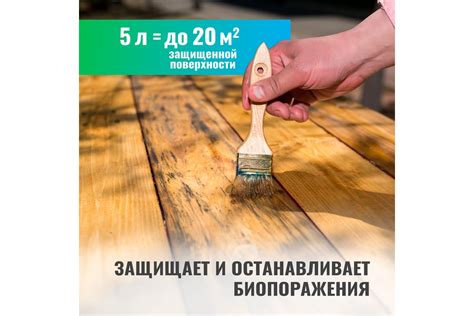 Универсальный антисептик против грибка и плесени PROSEPT АНТИПЛЕСЕНЬ 5 ...