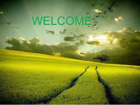 Seed Germination Testing Using Rag Doll And Seed Box Method Pptx Gardening Home And Garden