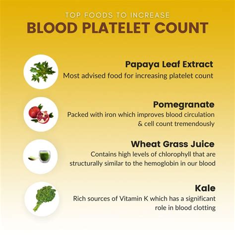 Top Foods To Increase Blood Platelets Count In 2023 Platelets
