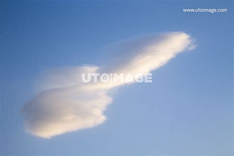 하늘의 흰구름 구름 Onepro 사진 풍경 자연 구름 맑은 청명한 파란 뭉게구름 배경 백그라운드 여름 경치 하얀 자연풍경 흰구름 기상 날씨