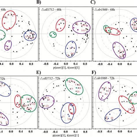 Targeted LC MS Metabolomic Analysis A PCA Plots Of The LC MS Download Scientific Diagram