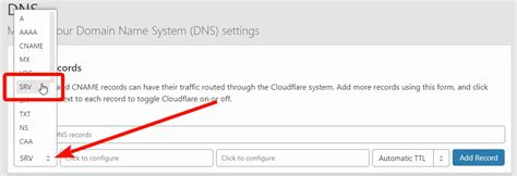 Creating A Custom Server Ip With Cloudflare Shockbyte