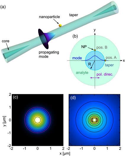 Concept Of Single Nanoparticle Detection Using Optical Fiber Tapers Via