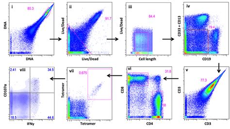 Figure S7 Gating Strategy For Mass Cytometry The Gating Strategy For Download Scientific