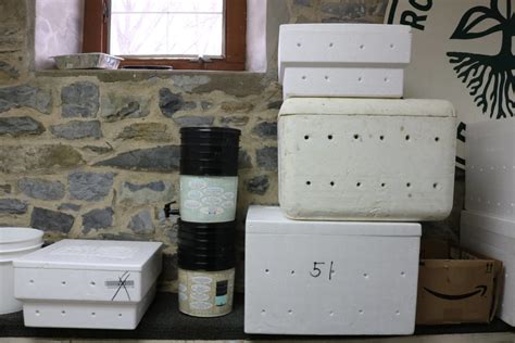 Vermicomposting For Beginners Rodale Institute