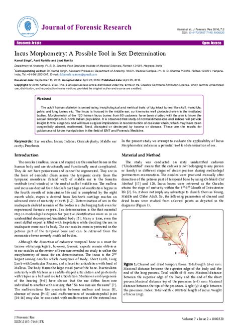Pdf Incus Morphometry A Possible Tool In Sex Determination