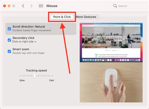 How To Make Your Mouse Left Handed In Macos 11 Big Sur Abilitynet