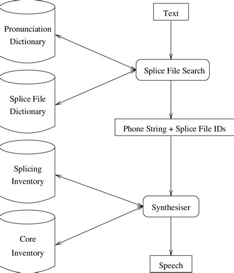 Splicing System Overview Download Scientific Diagram