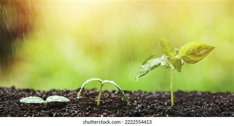 Tree Planting Campaign Background Images Stock Photos Vectors Shutterstock