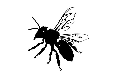 Honey Bee Pollination Wildlife Graphic By Fijulanam468 · Creative Fabrica