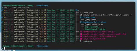 list files and directories in style using lsd and exa