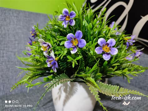 Redmi NOTE PRO Vs OPPO Reno Which One Is Better